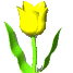 Transparent yellow flower GIF - Find on GIFER