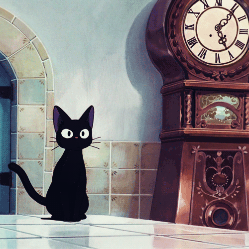 GIF work cat - animated GIF on GIFER