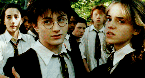 Harry potter GIF - Find on GIFER