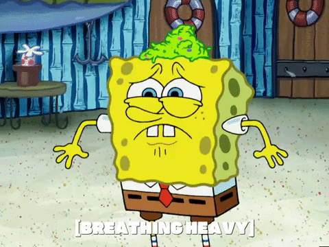 GIF spongebob squarepants season 5 episode 3 - animated GIF on GIFER