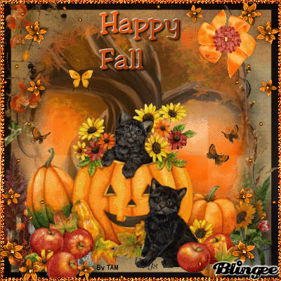 GIF fall picture cats - animated GIF on GIFER