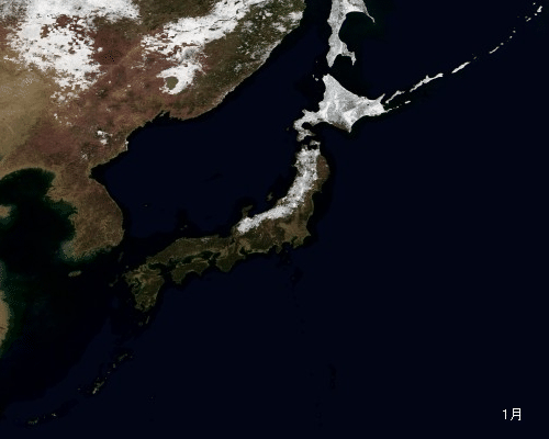 Japan GIF - Find on GIFER