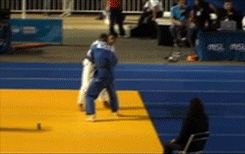 Judo GIF - Find on GIFER