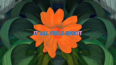 GIF feels art design - animated GIF on GIFER