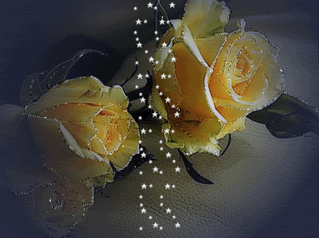 Yellow GIF - Find on GIFER