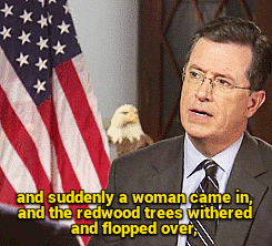 Stephen colbert the colbert report GIF - Find on GIFER