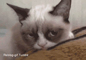 GIF fail funny - animated GIF on GIFER