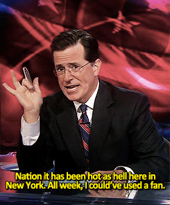Stephen colbert the colbert report GIF - Find on GIFER