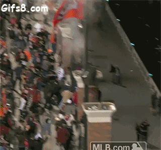 Baseball fan GIF - Find on GIFER
