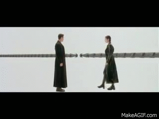 The matrix GIF on GIFER - by Taumi