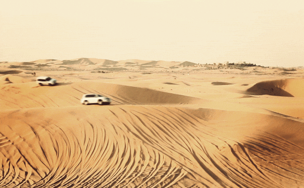 Desert race GIF on GIFER - by Tabar