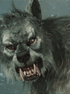 GIF werewolf full lists - animated GIF on GIFER - by Gakinos