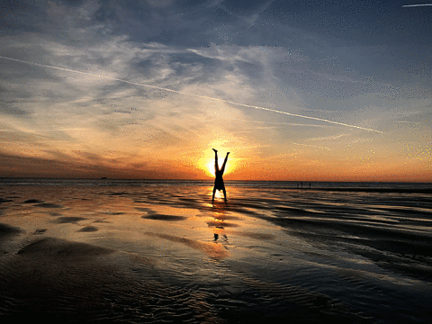 GIF sunset silhouette - animated GIF on GIFER - by Akinosho