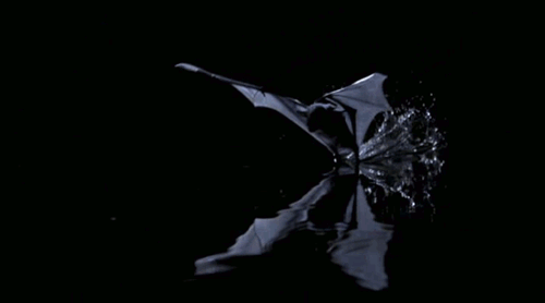Bats hunting animals GIF on GIFER - by Mavellador