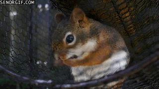 Atoms molecules GIF on GIFER - by Marirne