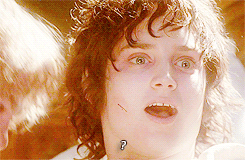Blowjob lord of the rings frodo GIF on GIFER - by Terg