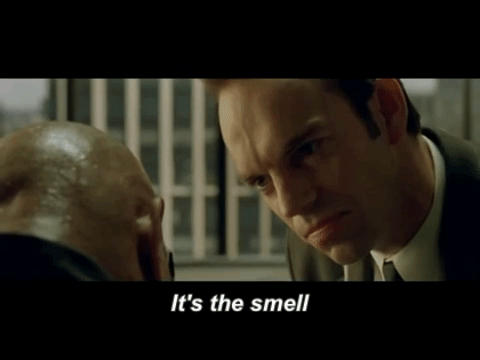 Maya Rudolph Dansende Gif 5 Reasons Why A Maya Rudolph Variety Show Is