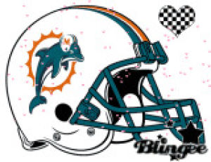 GIF miami dolphins - animated GIF on GIFER
