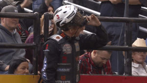 Pbr bull riding GIF - Find on GIFER