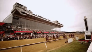 Kentucky horse derby GIF - Find on GIFER