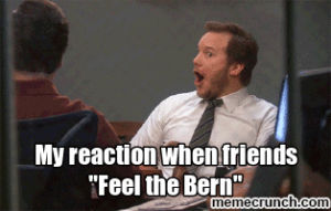 GIF feel the bern - animated GIF on GIFER