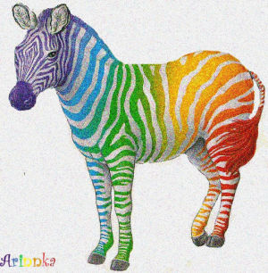 Zebra GIF - Find on GIFER