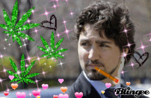 GIF justin trudeau - animated GIF on GIFER