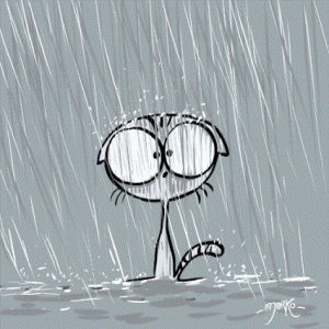 GIF rainy day - animated GIF on GIFER