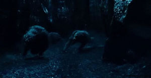 Werewolf GIF - Find on GIFER
