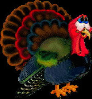 Turkey thanksgiving transparent GIF - Find on GIFER