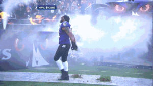 Baltimore ravens GIF - Find on GIFER