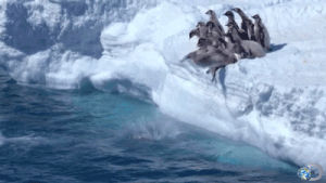 GIF discovery channel - animated GIF on GIFER