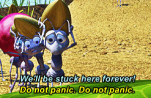 A bugs life GIF - Find on GIFER