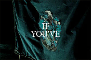 Ravenclaw GIF - Find on GIFER