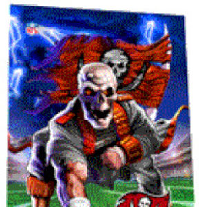 Football nfl tampa bay buccaneers GIF on GIFER - by Trueray