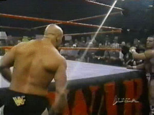 GIF stone cold steve austin - animated GIF on GIFER