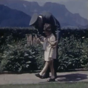 GIF hitler nazi adolf hitler - animated GIF on GIFER