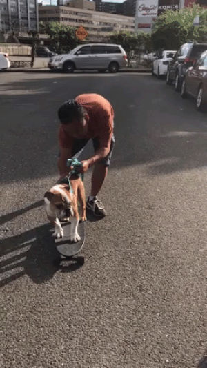 Objectives learning effective GIF - Find on GIFER