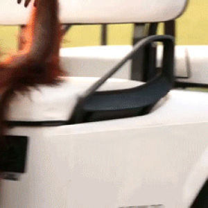 GIF golf cart - animated GIF on GIFER