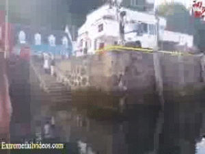 Thick, GIF - Find & Download on GIFER