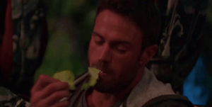 Lettuce eating GIF on GIFER - by Lightraven