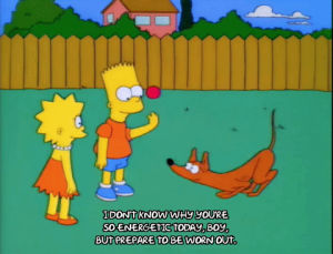 GIF dog bart simpson lisa simpson - animated GIF on GIFER