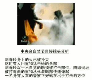 11th annual citadels tree lighting ceremony GIF - Find on GIFER