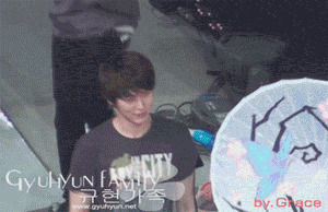 Rotflmao GIF - Find on GIFER