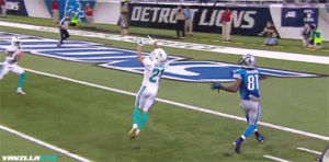 GIF miami dolphins - animated GIF on GIFER
