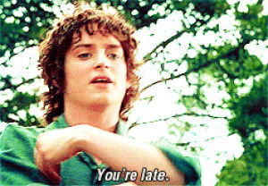 The lord of the rings frodo GIF on GIFER - by Dianafym