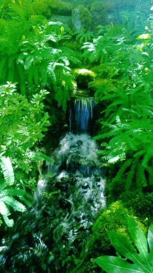 Waterfall GIF on GIFER - by Windgrove