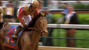 Kentucky horse derby GIF - Find on GIFER