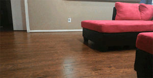 Rc GIF - Find on GIFER