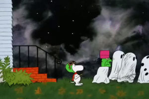 Snoopy peanuts GIF on GIFER - by Gavizel